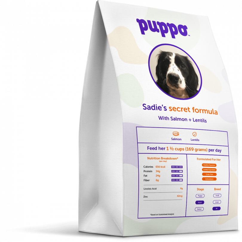 Puppo: Innovative Personalized Dog Food Review | Technobark