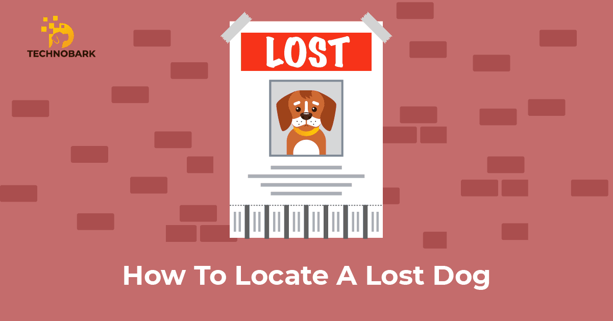 How To Locate A Lost Dog | Technobark