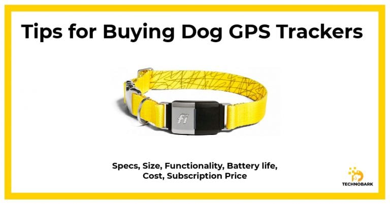 12 Best GPS Dog Collar & Dog Trackers of 2025