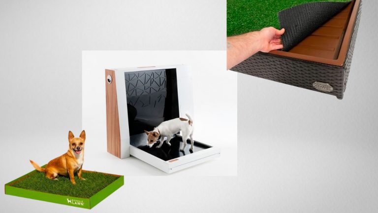 10 Best Indoor Dog Potties: Grass, Pads and "Dog Litters" | Technobark