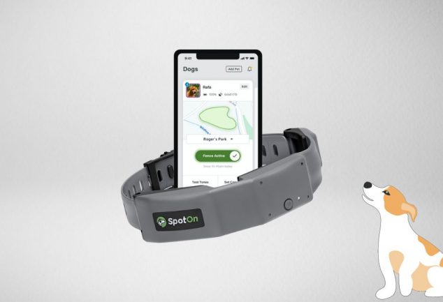 6 Best Smart Dog Collars In 2024: What Are They And Why You Need One