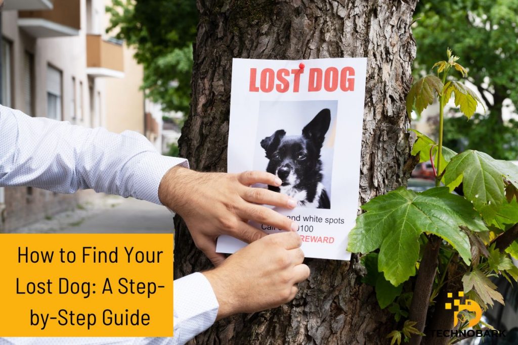 How to Find Your Lost Dog: A Step-by-Step Guide | Technobark