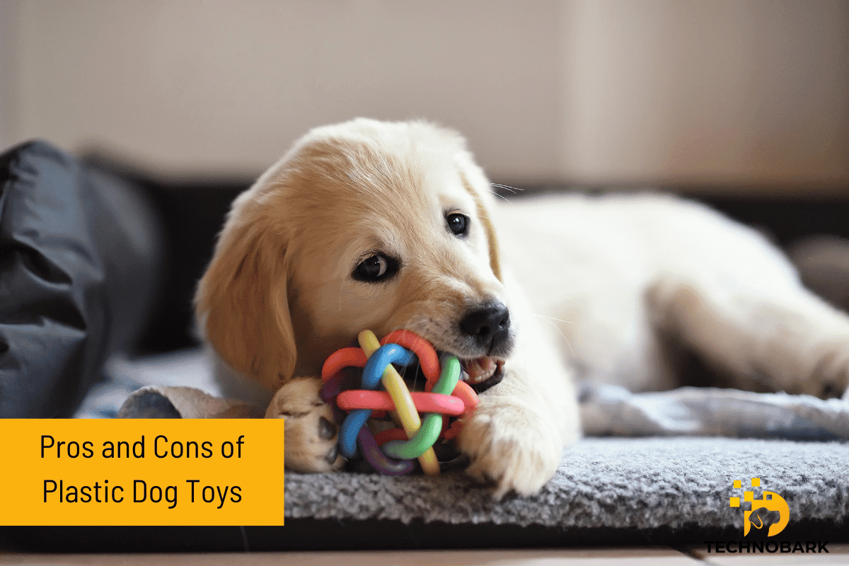 Are Plastic Chew Toys REALLY Bad for Dogs? (Pros & Cons)