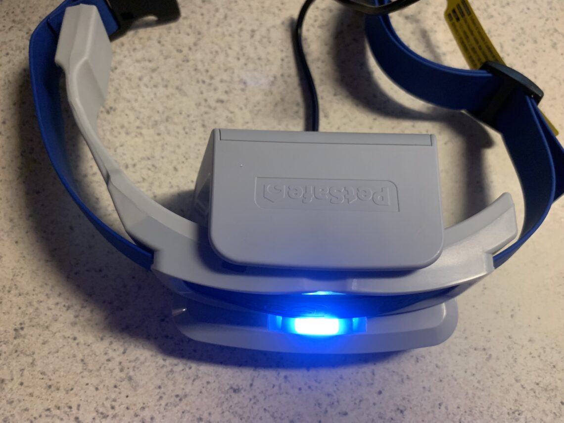 Top GPS Dog Collars with the Longest Battery Life: Stay Connected ...