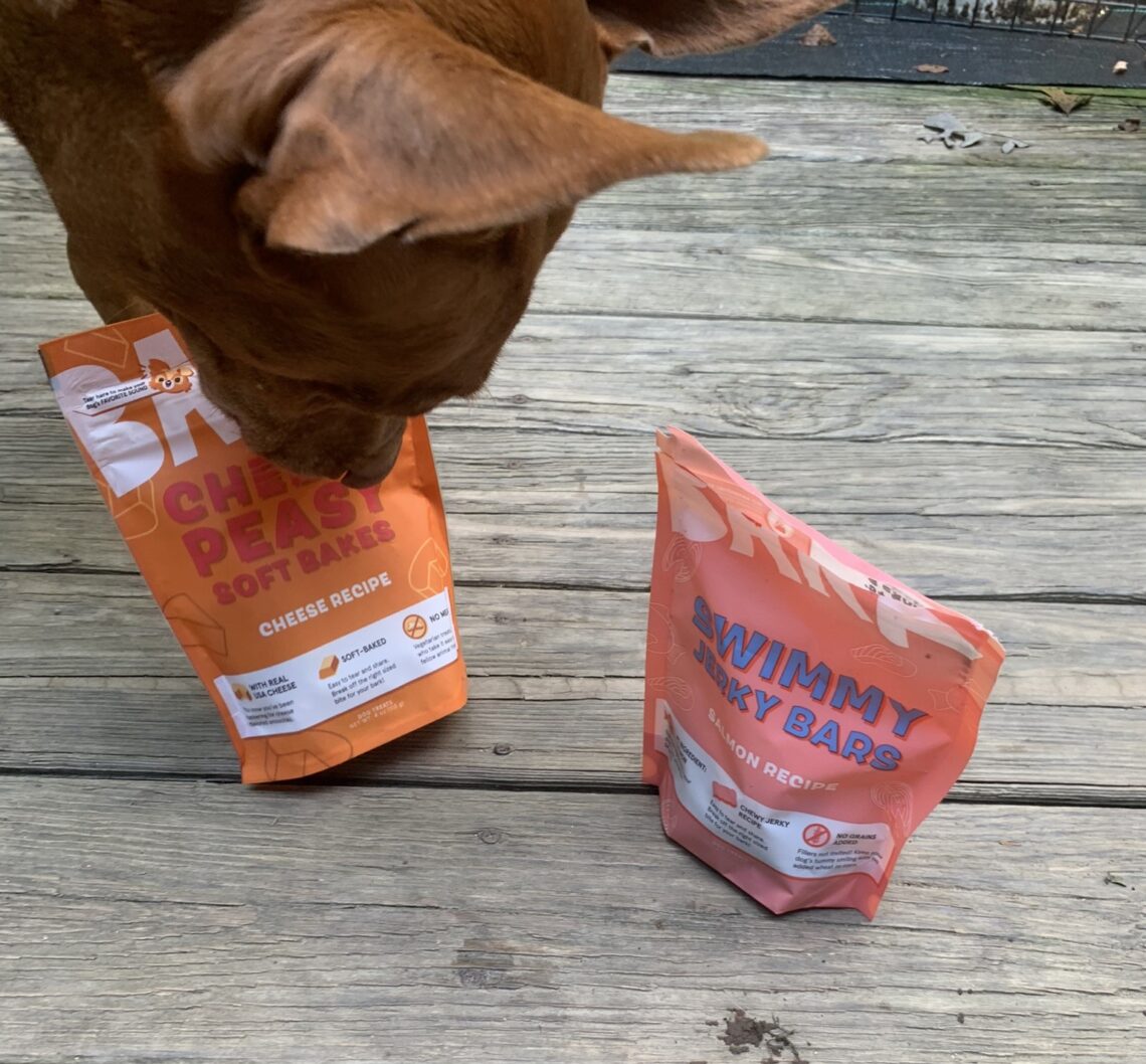 BarkBox Review: Why This Dog Subscription Box is Worth the Hype ...