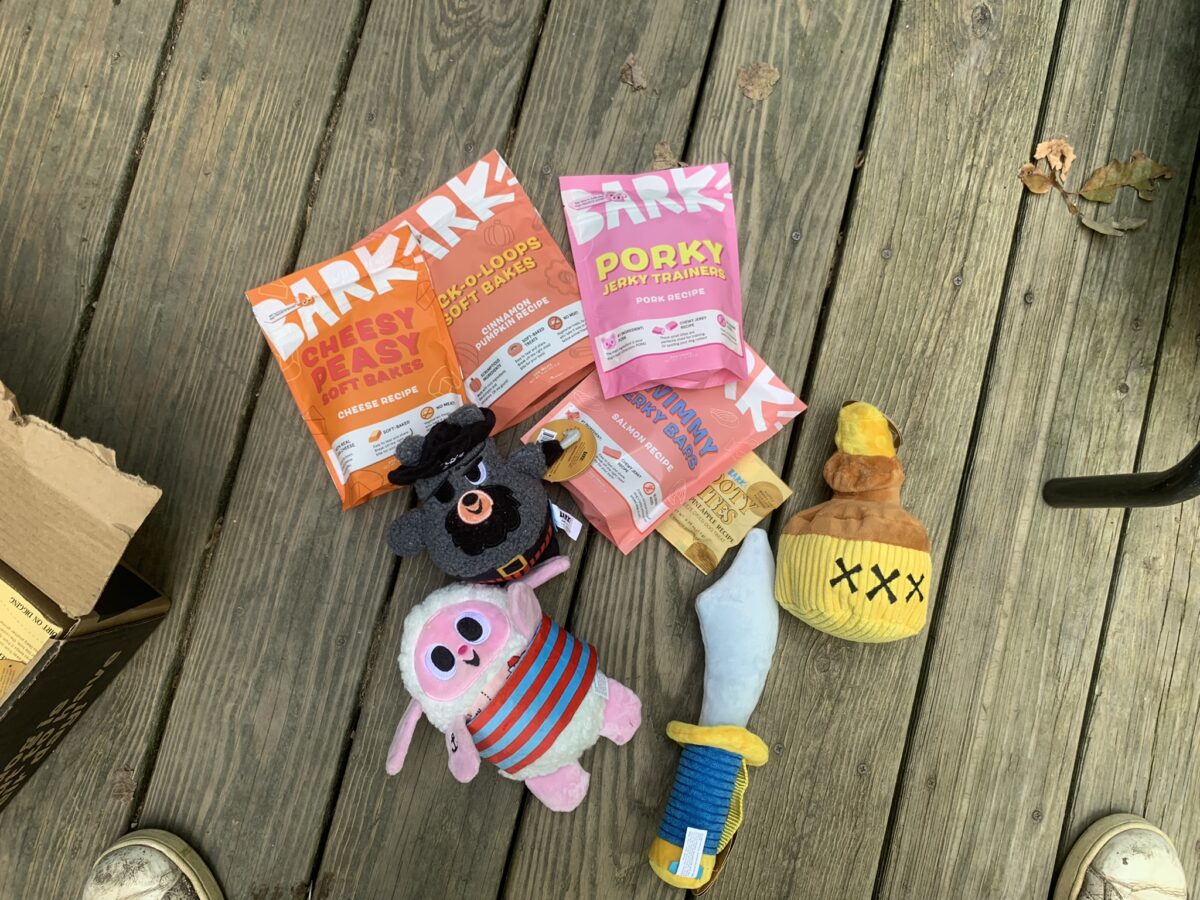 BarkBox Review: Why This Dog Subscription Box is Worth the Hype ...