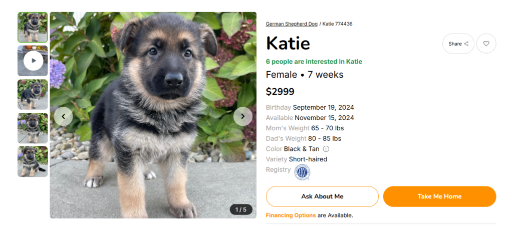 PuppySpot: Is it legit? A Real Dog Mom’s Review