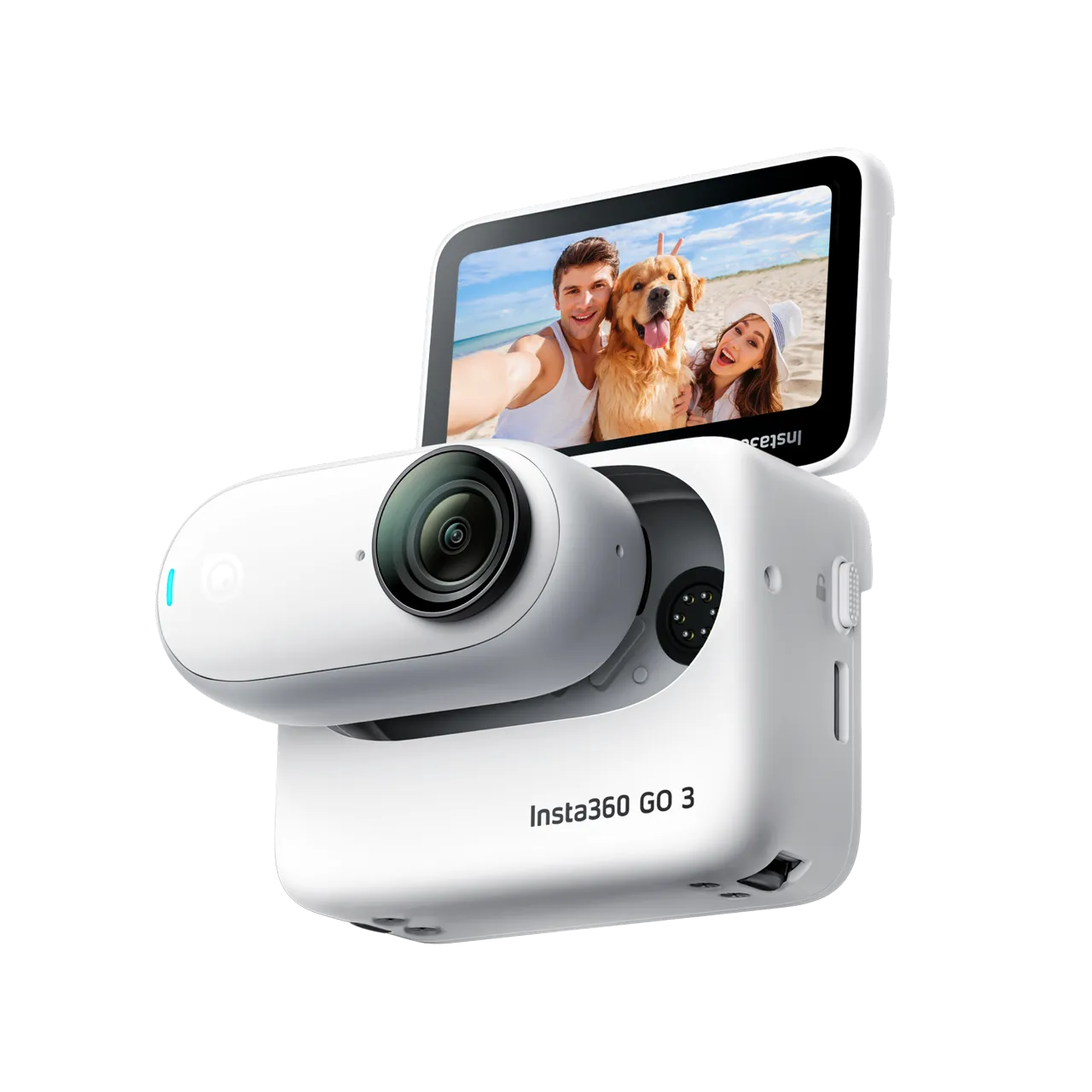 10 Best Pet Security Cameras to Monitor, Talk, and Treat Your Dogs ...